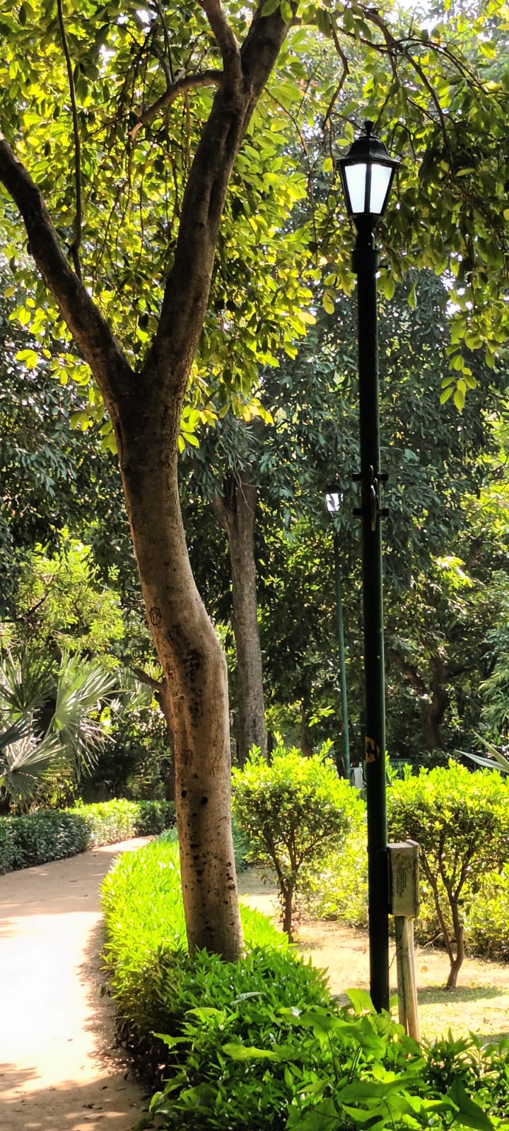 The magic of the pause – amalfabian